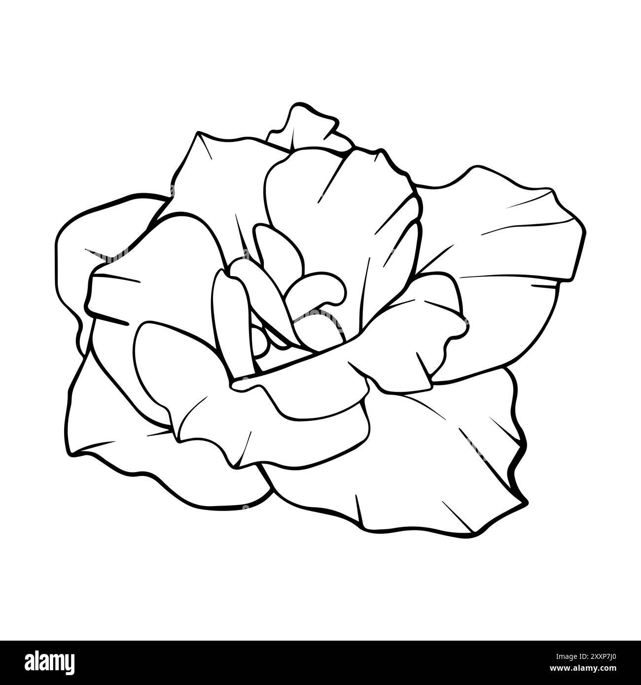 Vector flower. Hand drawn Floral bud. Simple contour Sketch. Vintage ...