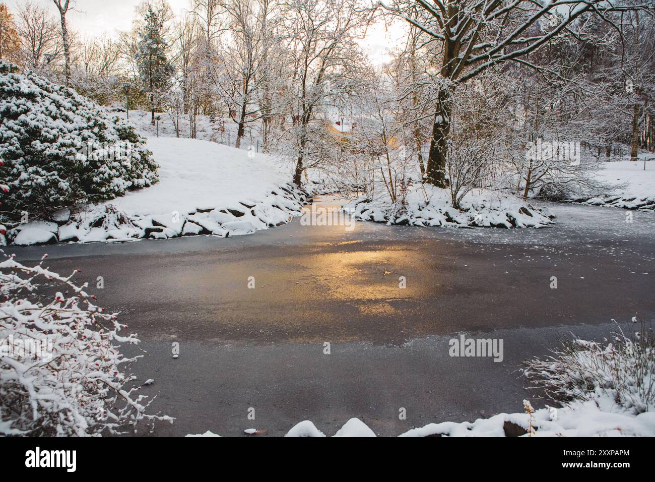 Winter pond in Hembygdsparken park in Hassleholm, Sweden Stock Photo ...