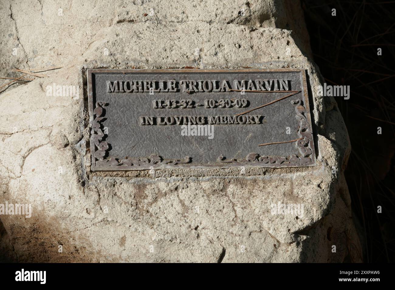 Los Angeles, California, USA 23rd August 2024 Actress Michelle Triola ...