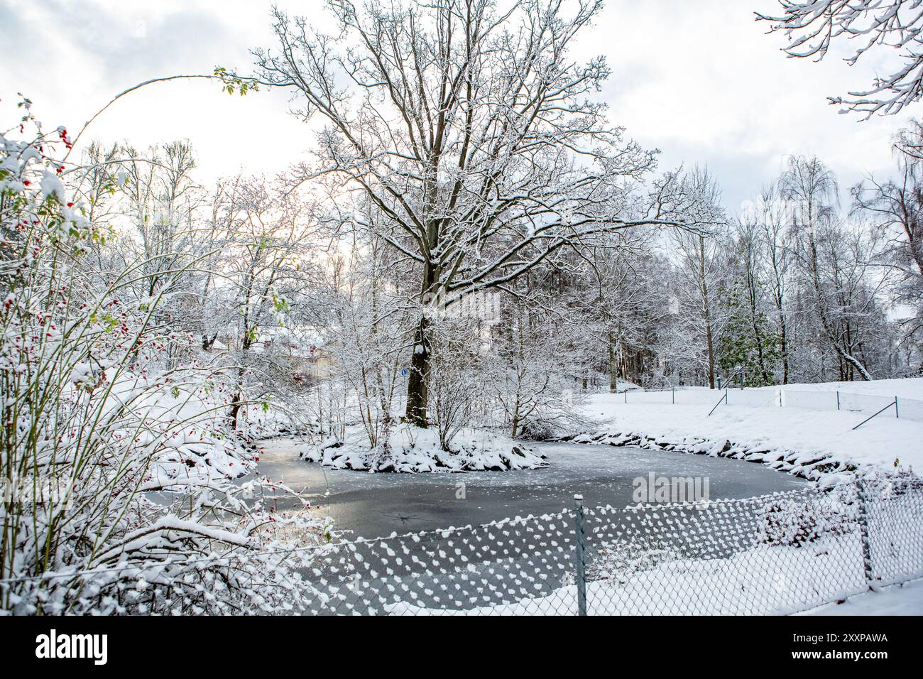 Winter pond in Hembygdsparken park in Hassleholm, Sweden Stock Photo ...