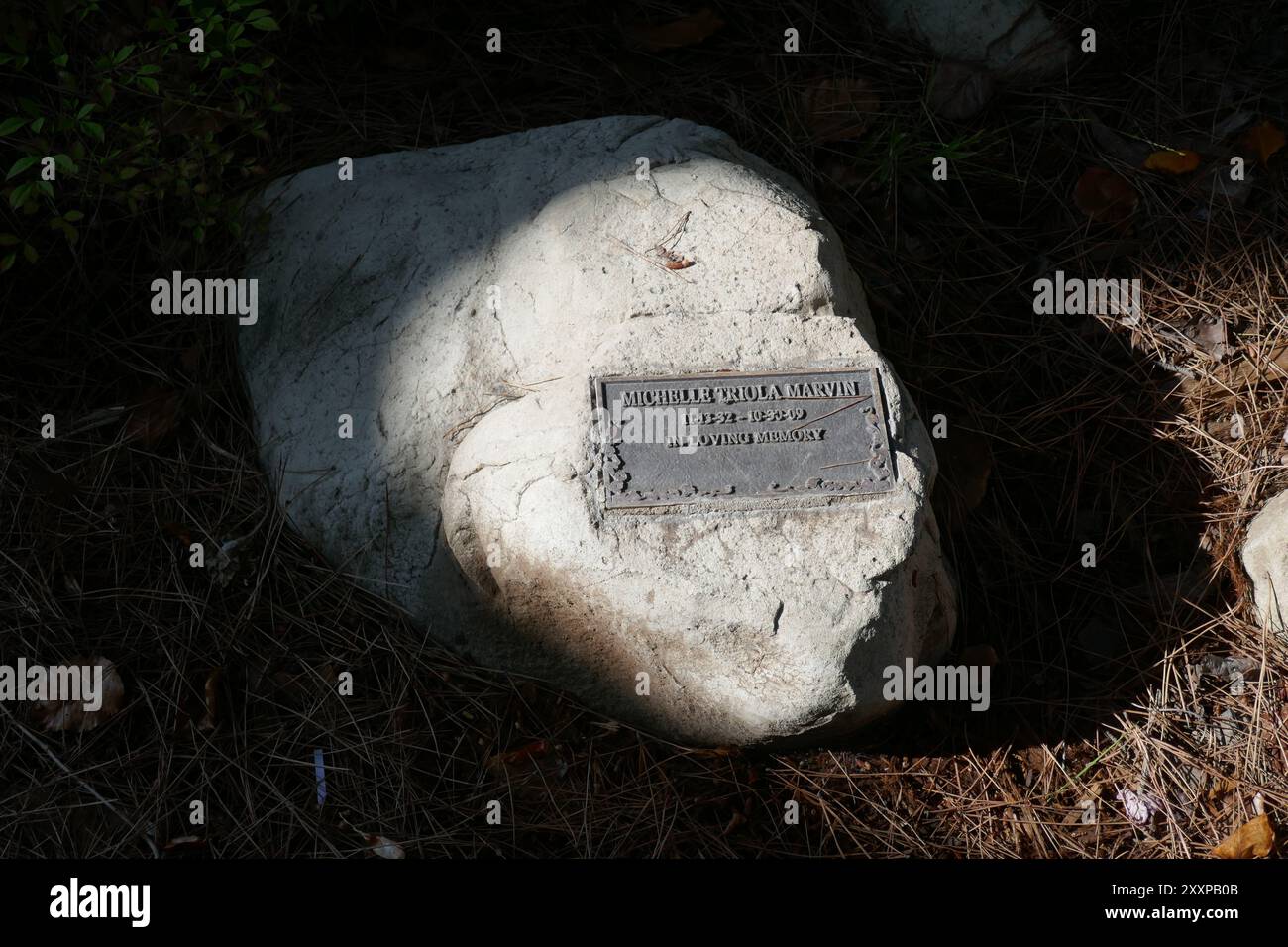 Los Angeles, California, USA 23rd August 2024 Actress Michelle Triola ...