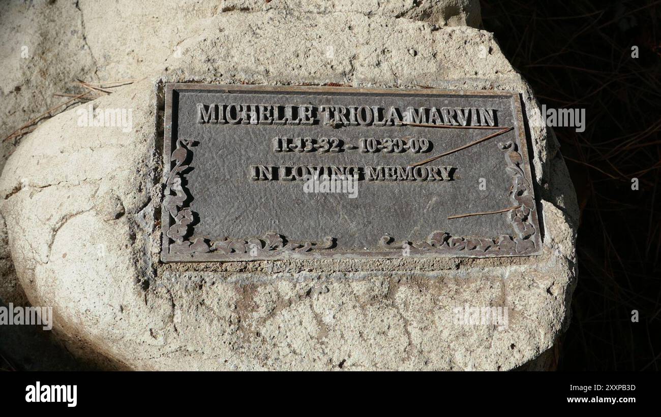 Los Angeles, California, USA 23rd August 2024 Actress Michelle Triola ...