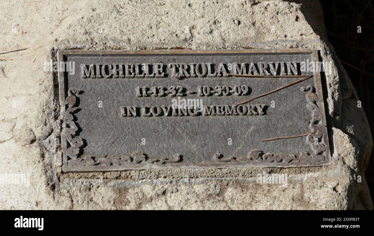 Los Angeles, California, USA 23rd August 2024 Actress Michelle Triola ...