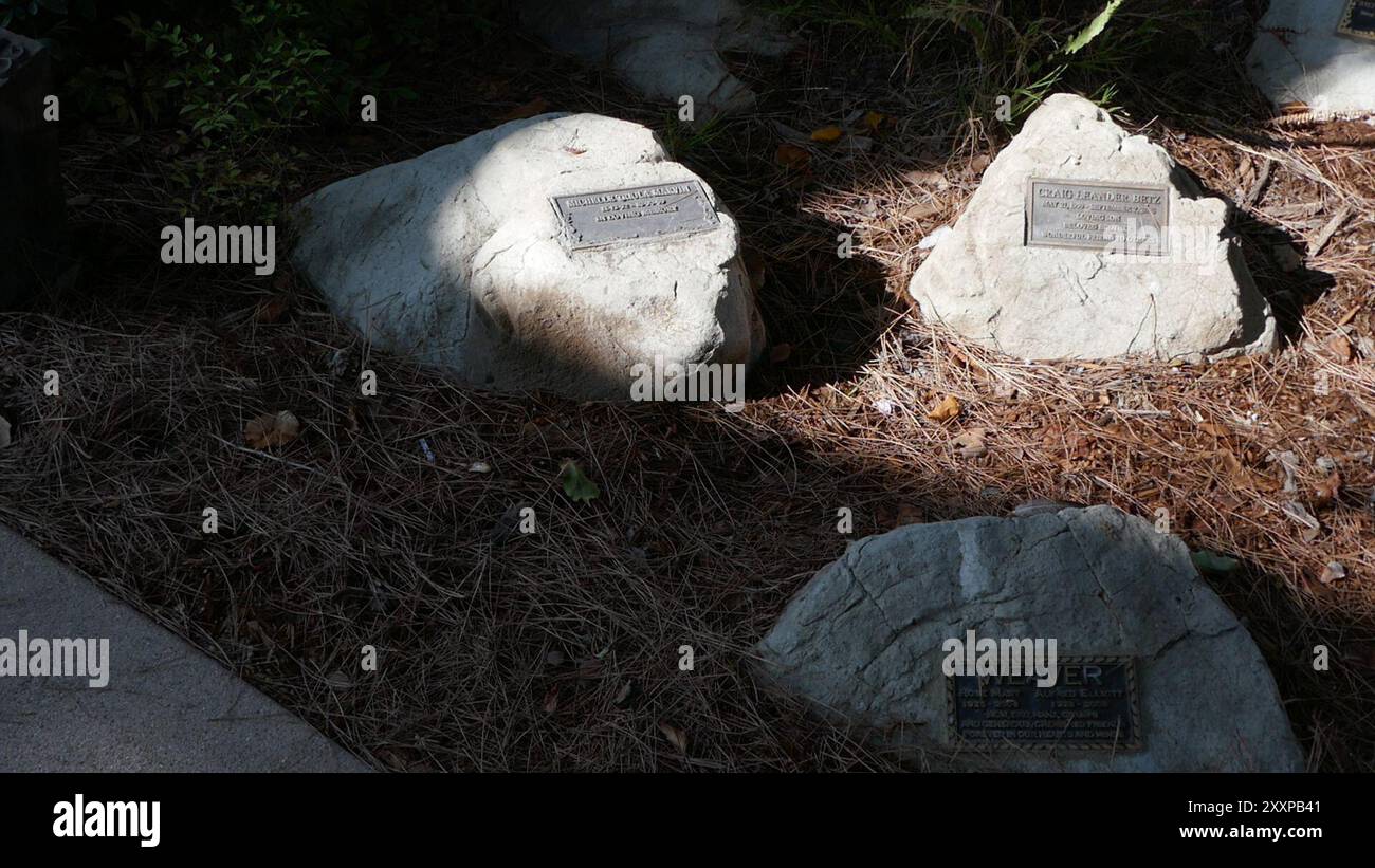 Los Angeles, California, USA 23rd August 2024 Actress Michelle Triola ...
