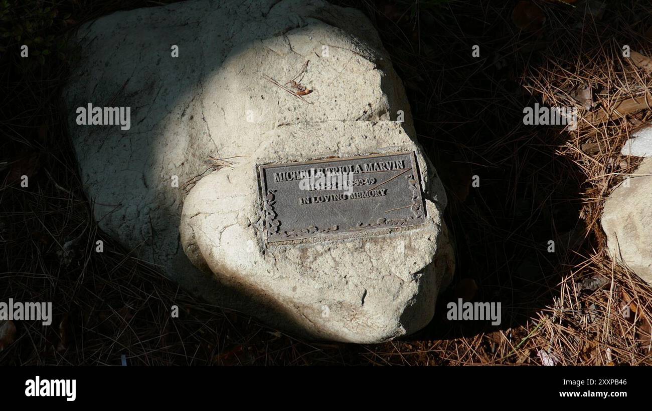 Los Angeles, California, USA 23rd August 2024 Actress Michelle Triola ...