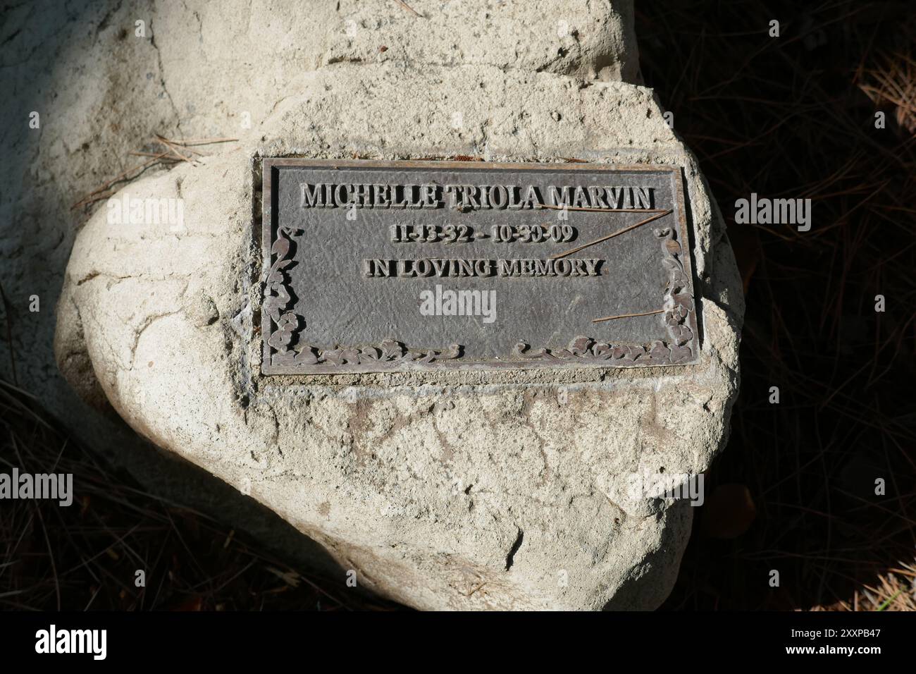 Los Angeles, California, USA 23rd August 2024 Actress Michelle Triola ...