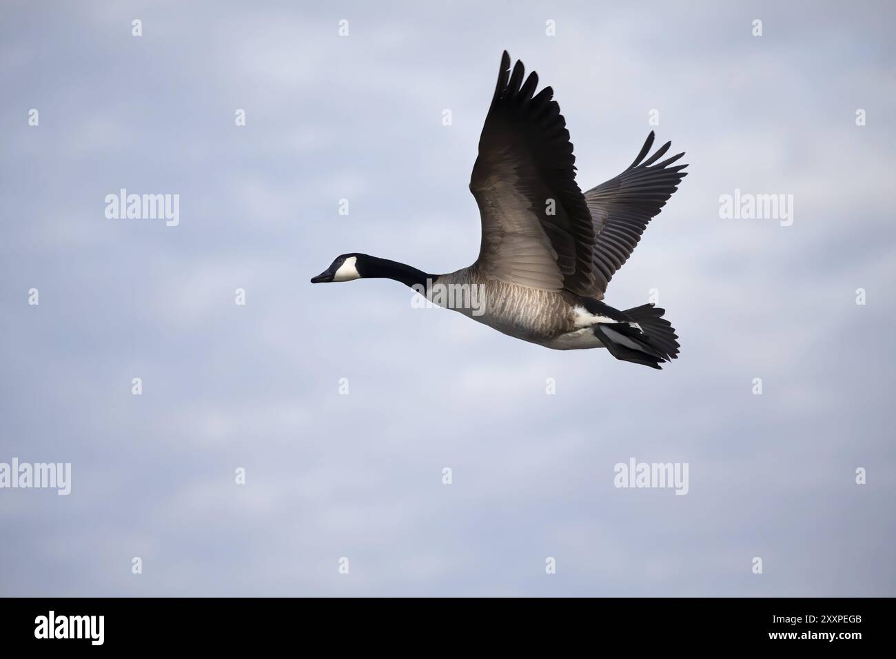 Natural scene from Wisconsin Stock Photo - Alamy