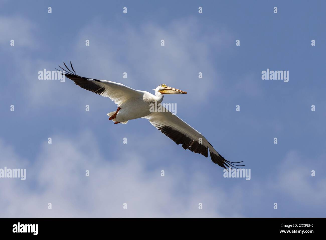 Nature scene from wisconsin Stock Photo - Alamy
