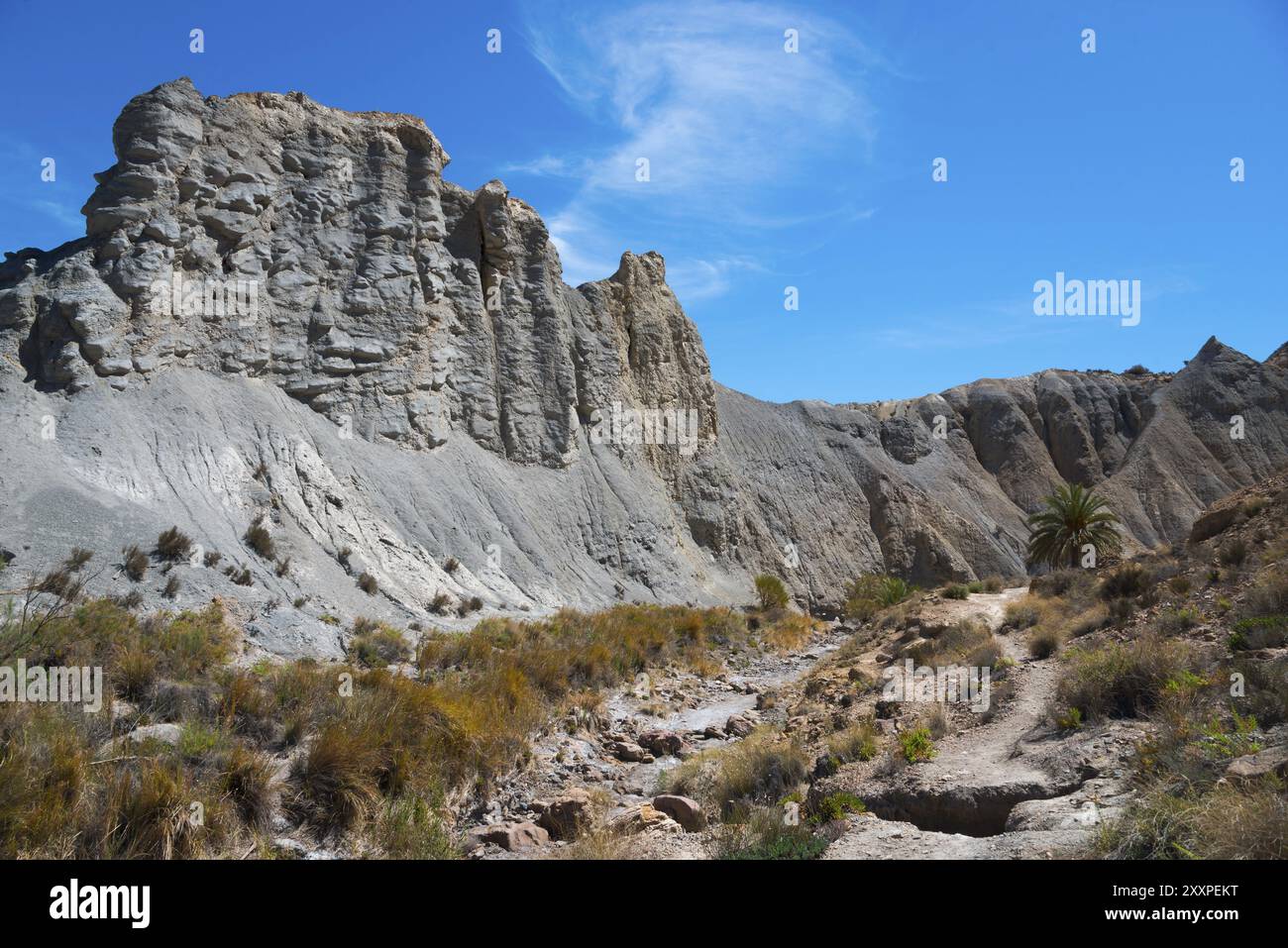 Barren desert landscape with rugged rocks, flowering vegetation and a ...