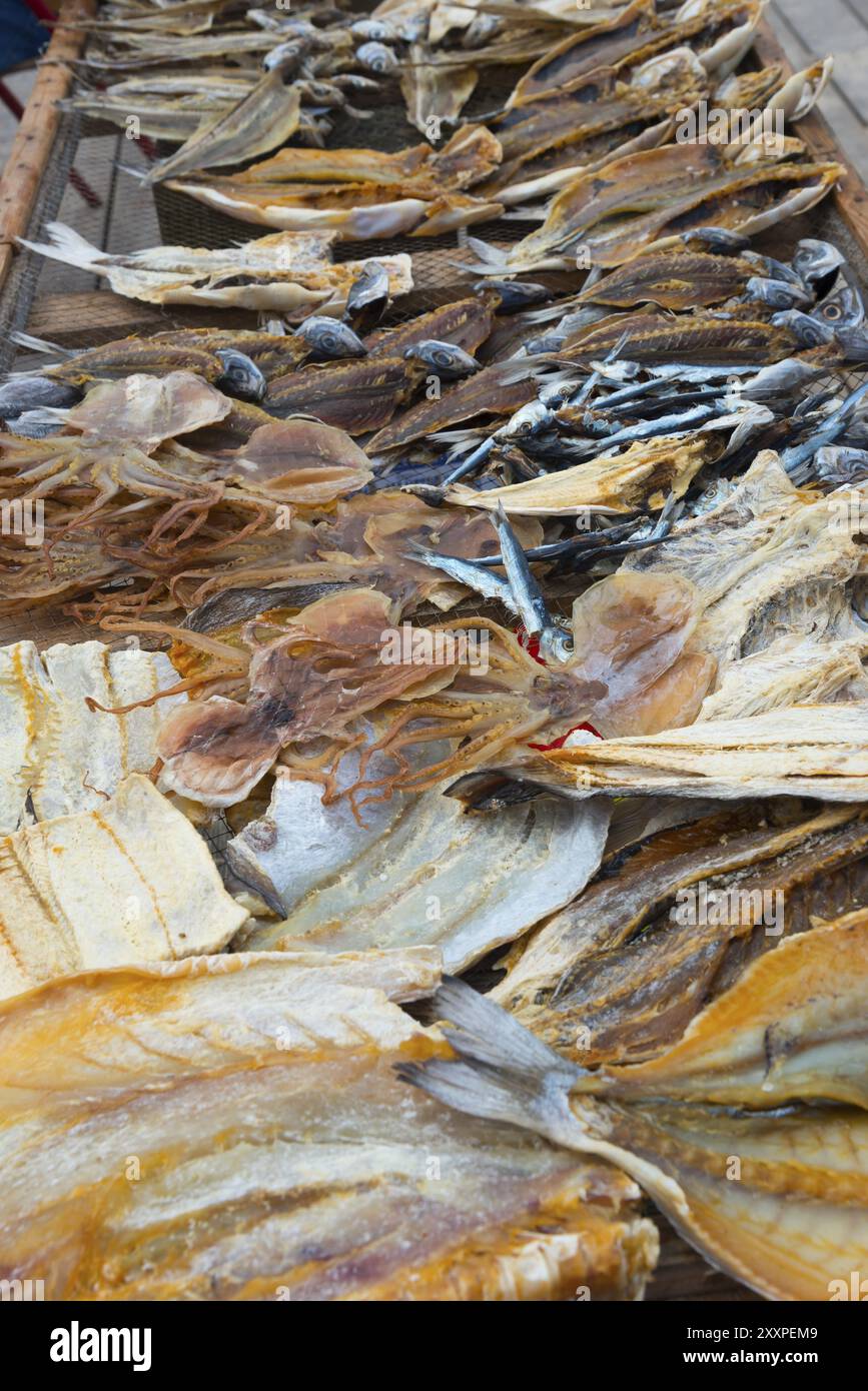 Fish drying on frame hi-res stock photography and images - Alamy