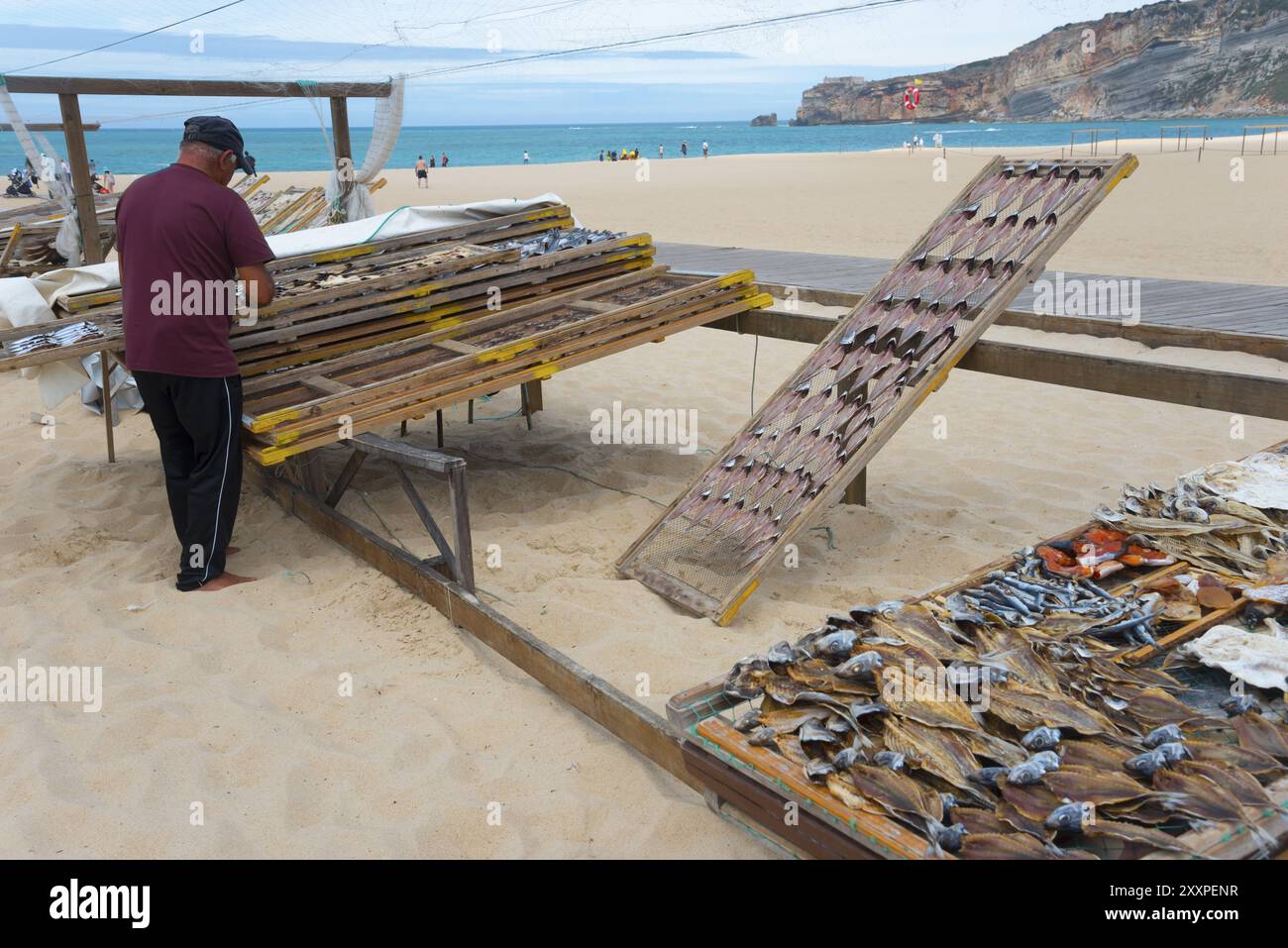 A man working on a wire rack with dried fish on the beach with sea view ...