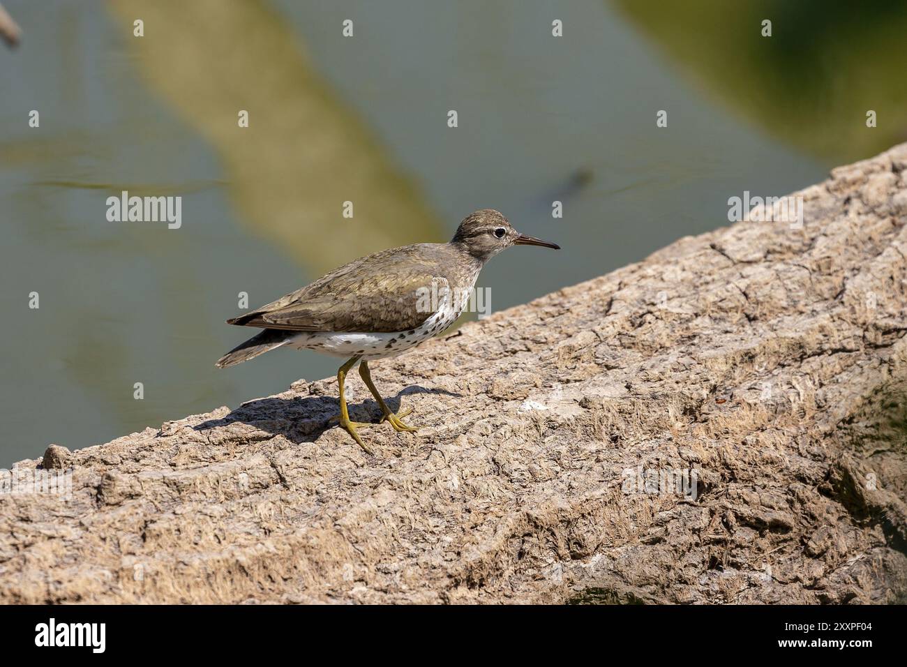 Natural scene from Wisconsin Stock Photo - Alamy