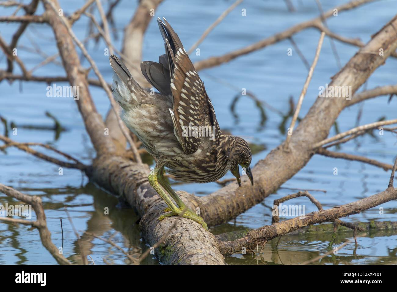Nature scene from Wisconsin Stock Photo - Alamy