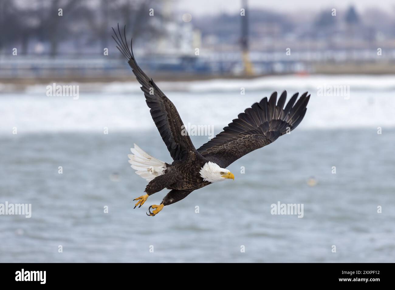 Natural scene from shore of lake Michigan Stock Photo - Alamy