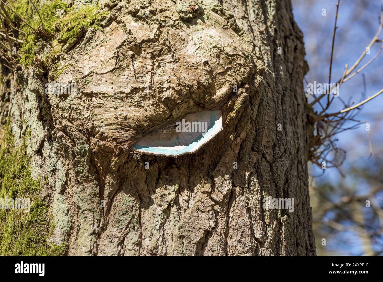 Moss grown sign hi-res stock photography and images - Alamy