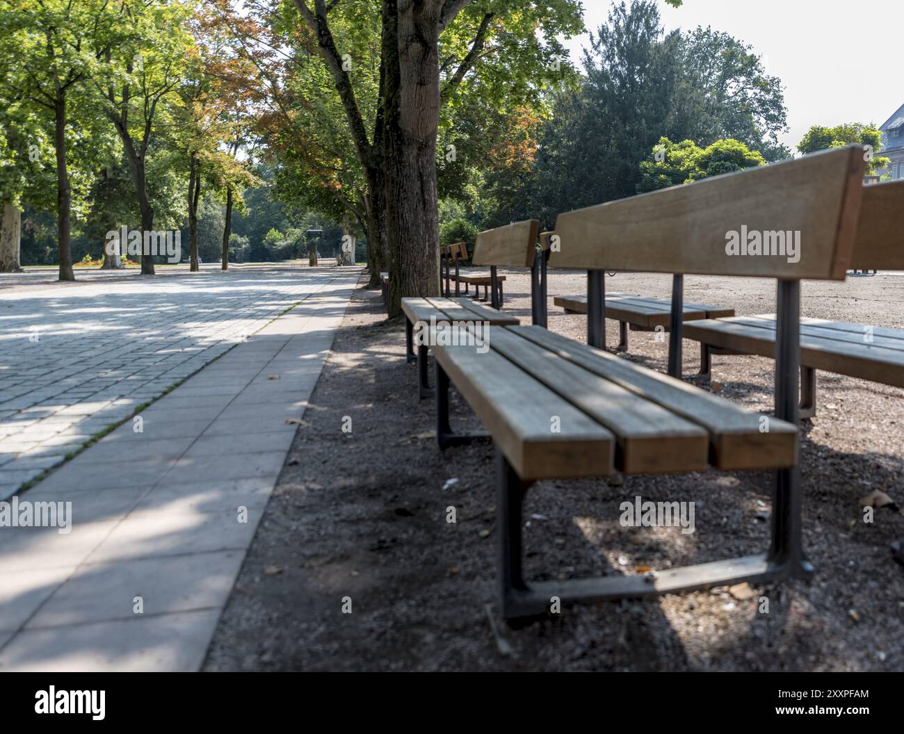Rest area in a park with paved path and bench with trees in summer ...