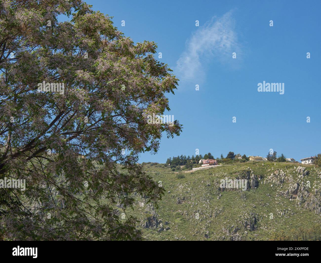 Hilly landscape with wooded areas and scattered houses under a clear ...