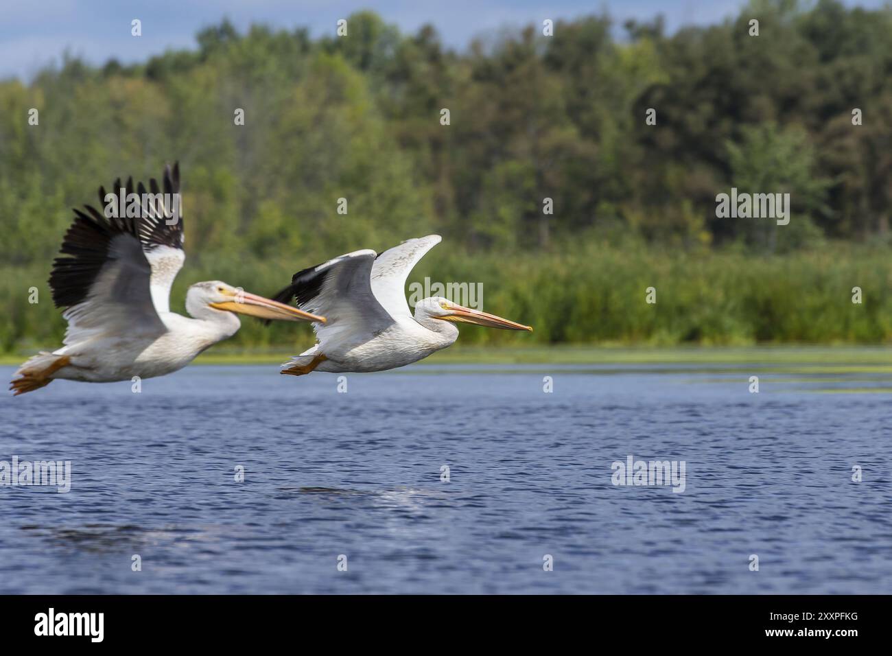 Nature scene from Wisconsin Stock Photo - Alamy
