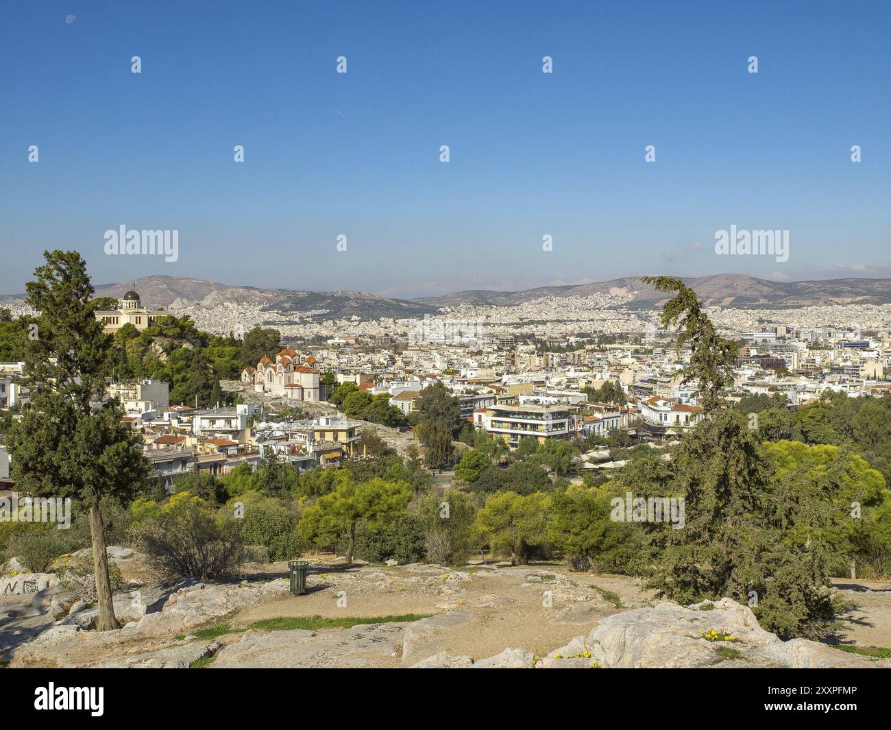 Urban landscape with green trees and houses under a clear blue sky ...