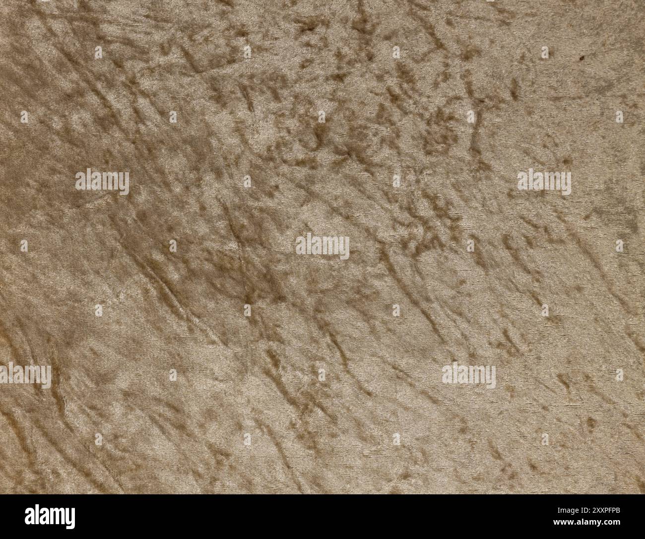 Beige shiny even velvet fabric filling the format as a background Stock ...