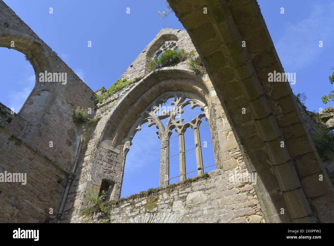 Abbey, ruins, window, church, gothic architecture Stock Photo - Alamy