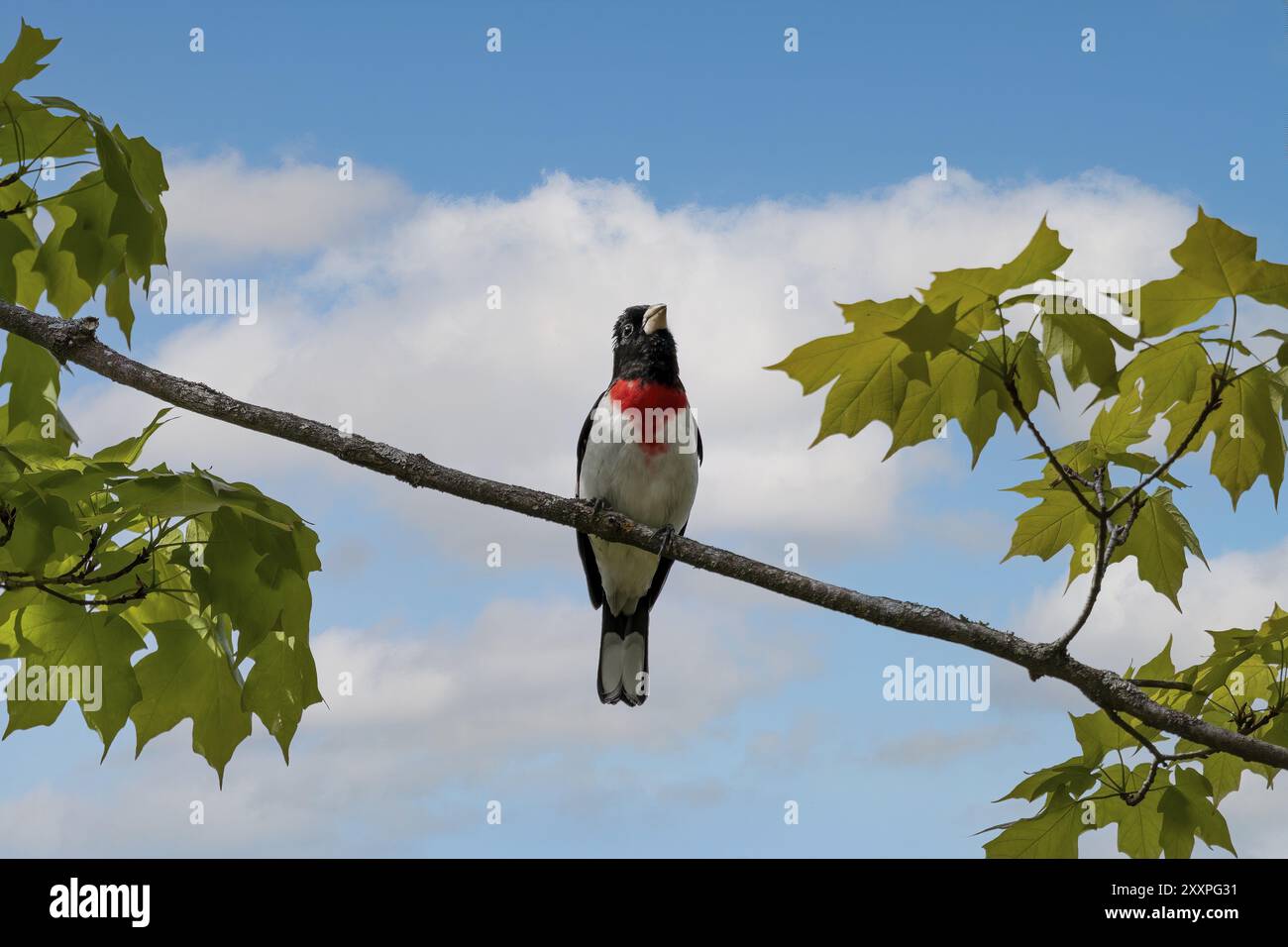 Wisconsin state park hi-res stock photography and images - Alamy