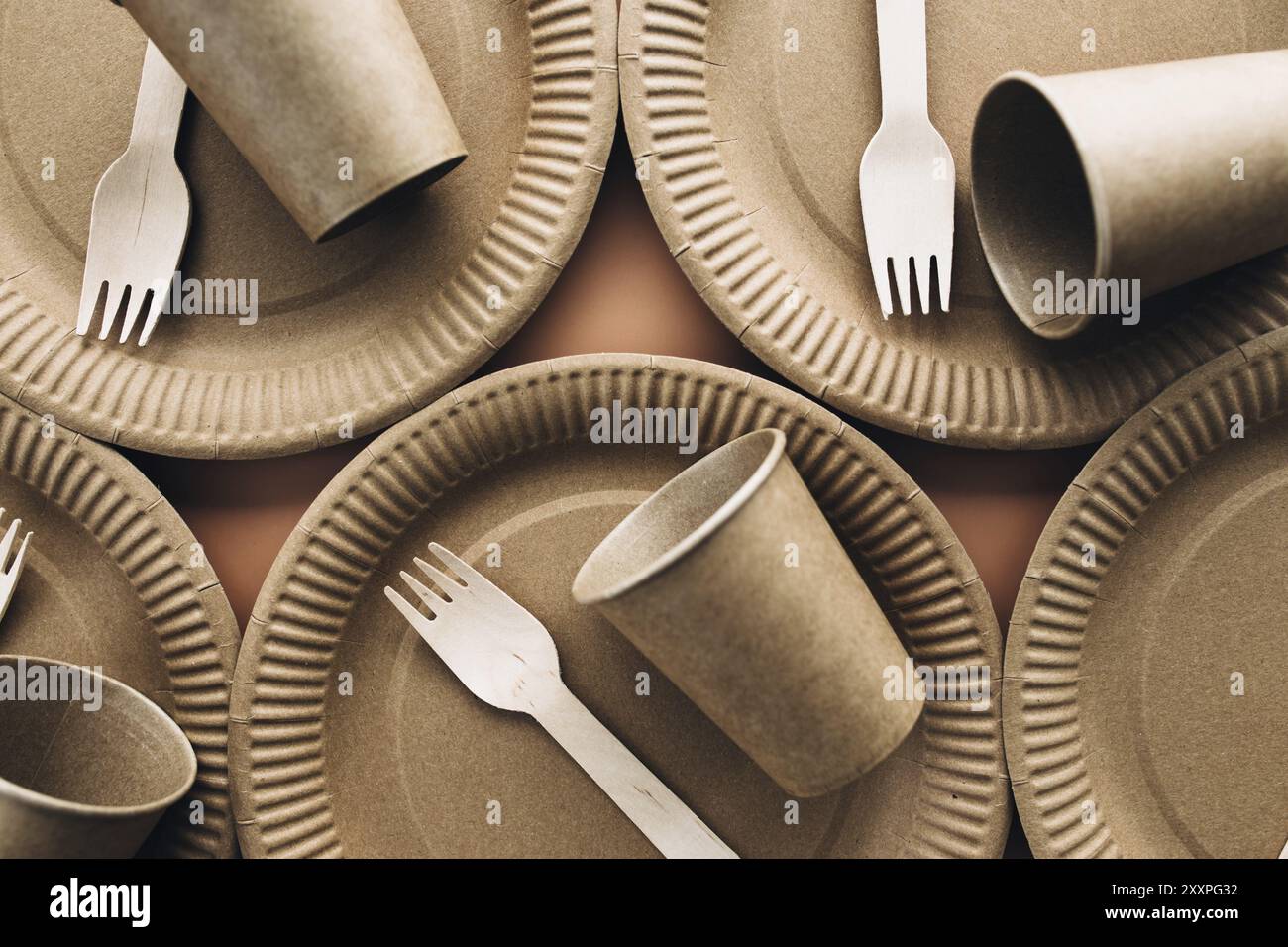 Various eco-friendly kraft paper packaging, fork, cup and plate ...