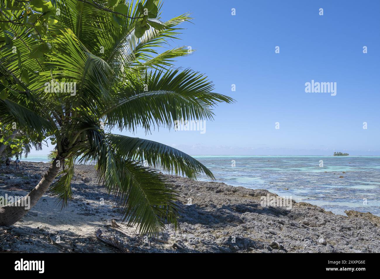 Motu one island hi-res stock photography and images - Alamy