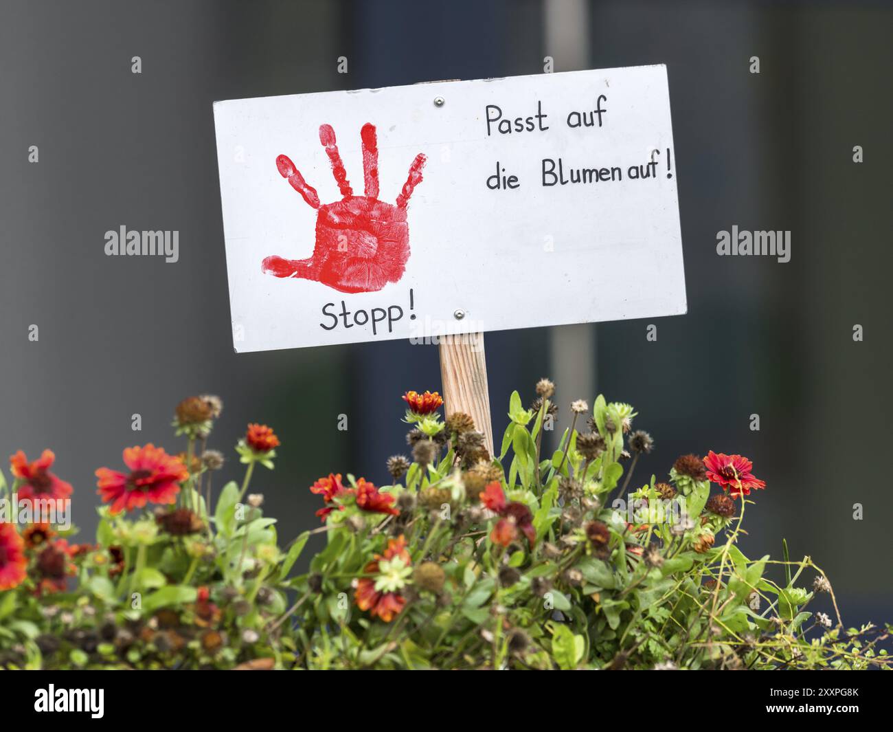 Sign with painted red hand stuck in a flower bed against a blurred ...
