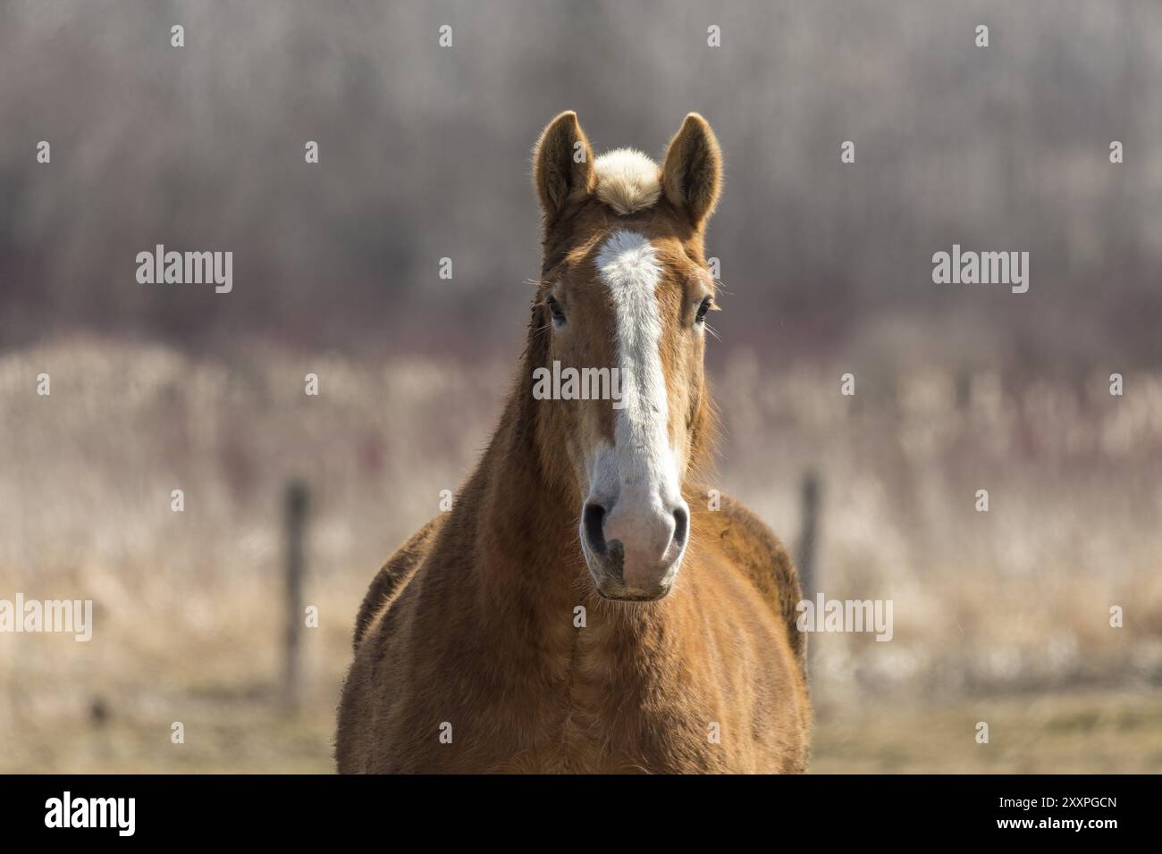 Wisconsin countryside hi-res stock photography and images - Alamy