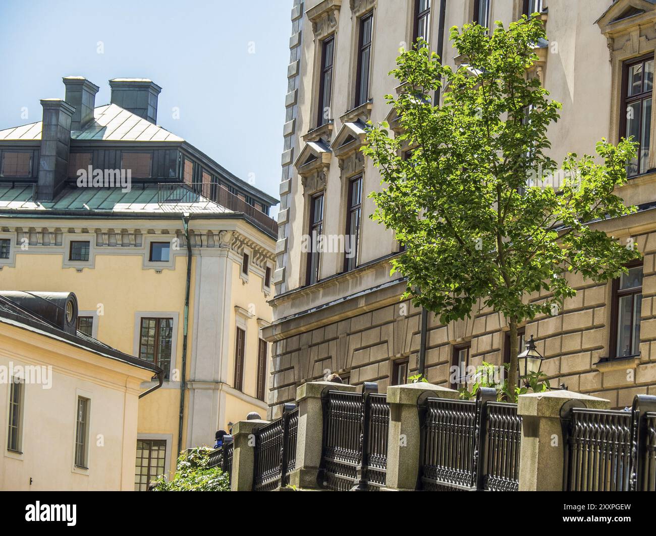 Urban architecture with historic buildings and a tree in sunny weather ...