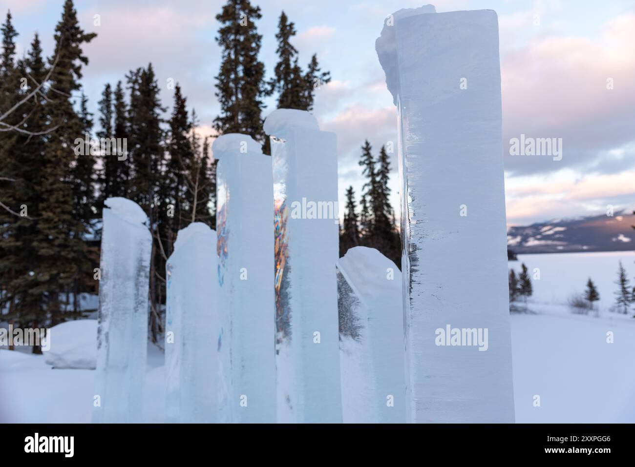 Beautiful man made ice sculptures with background of boreal forest ...