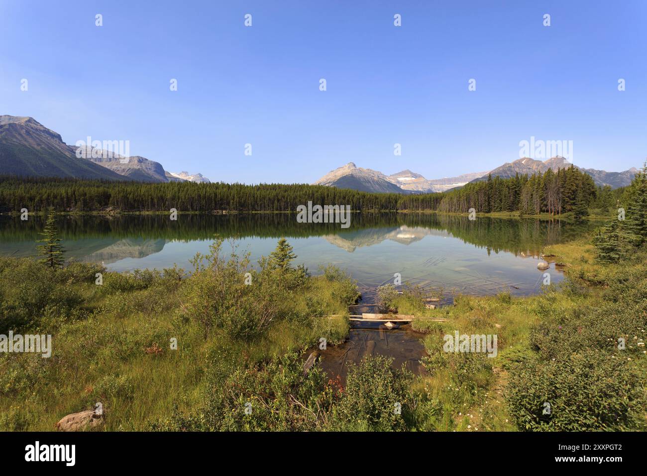 Herbert Lake in Banff National Park in Alberta Canada Stock Photo - Alamy
