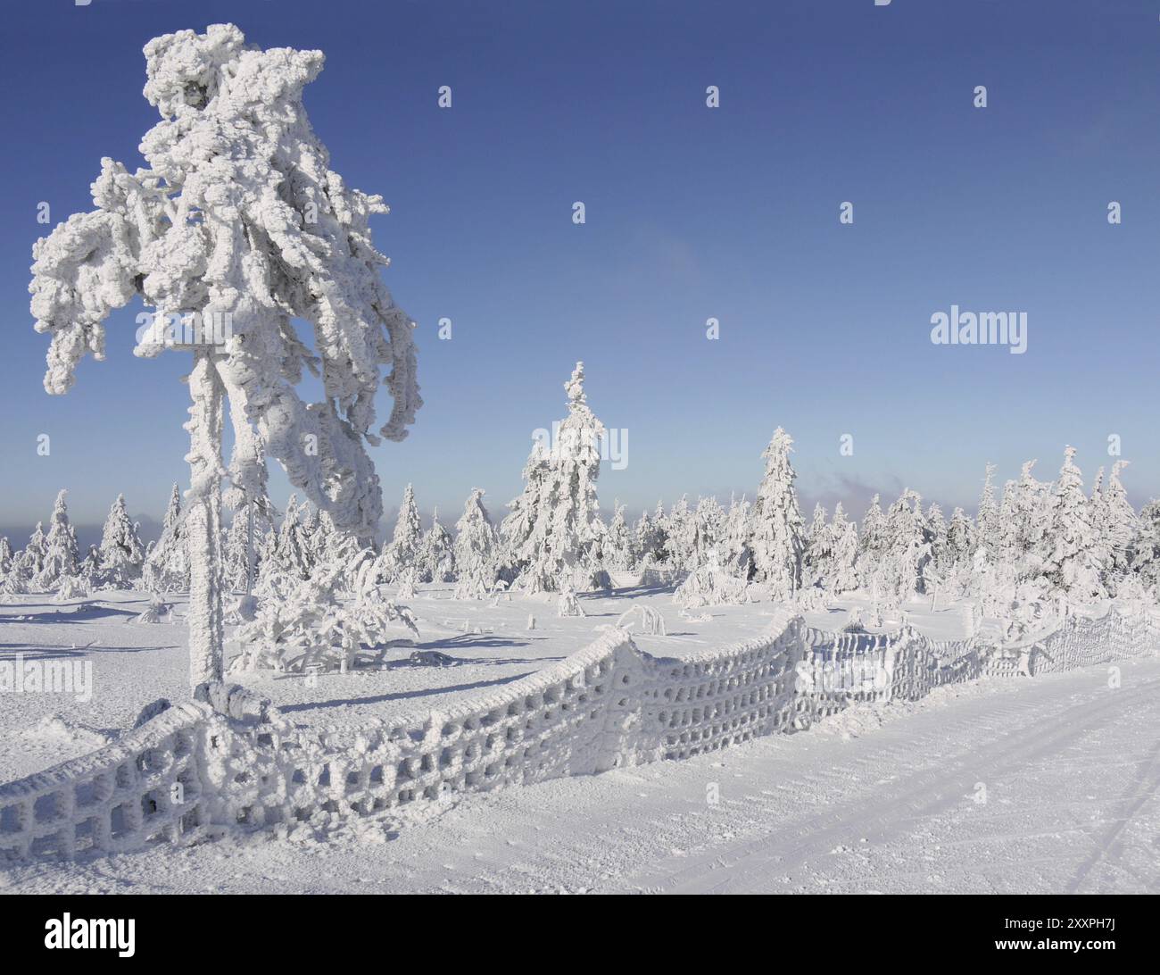 Winter in the Ore Mountains Stock Photo - Alamy