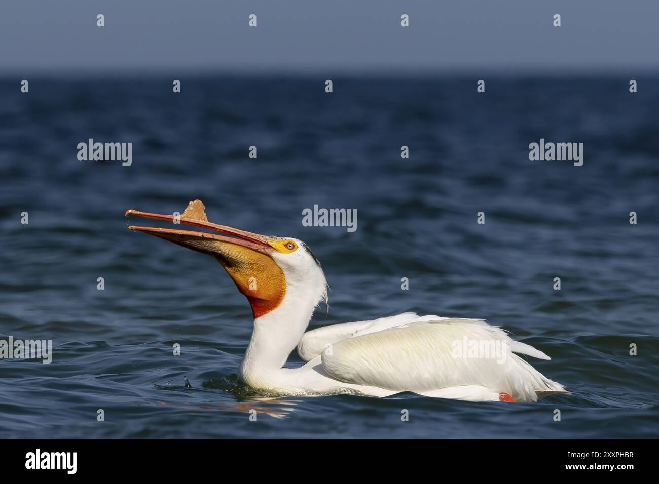 Nature scene from wisconsin Stock Photo - Alamy