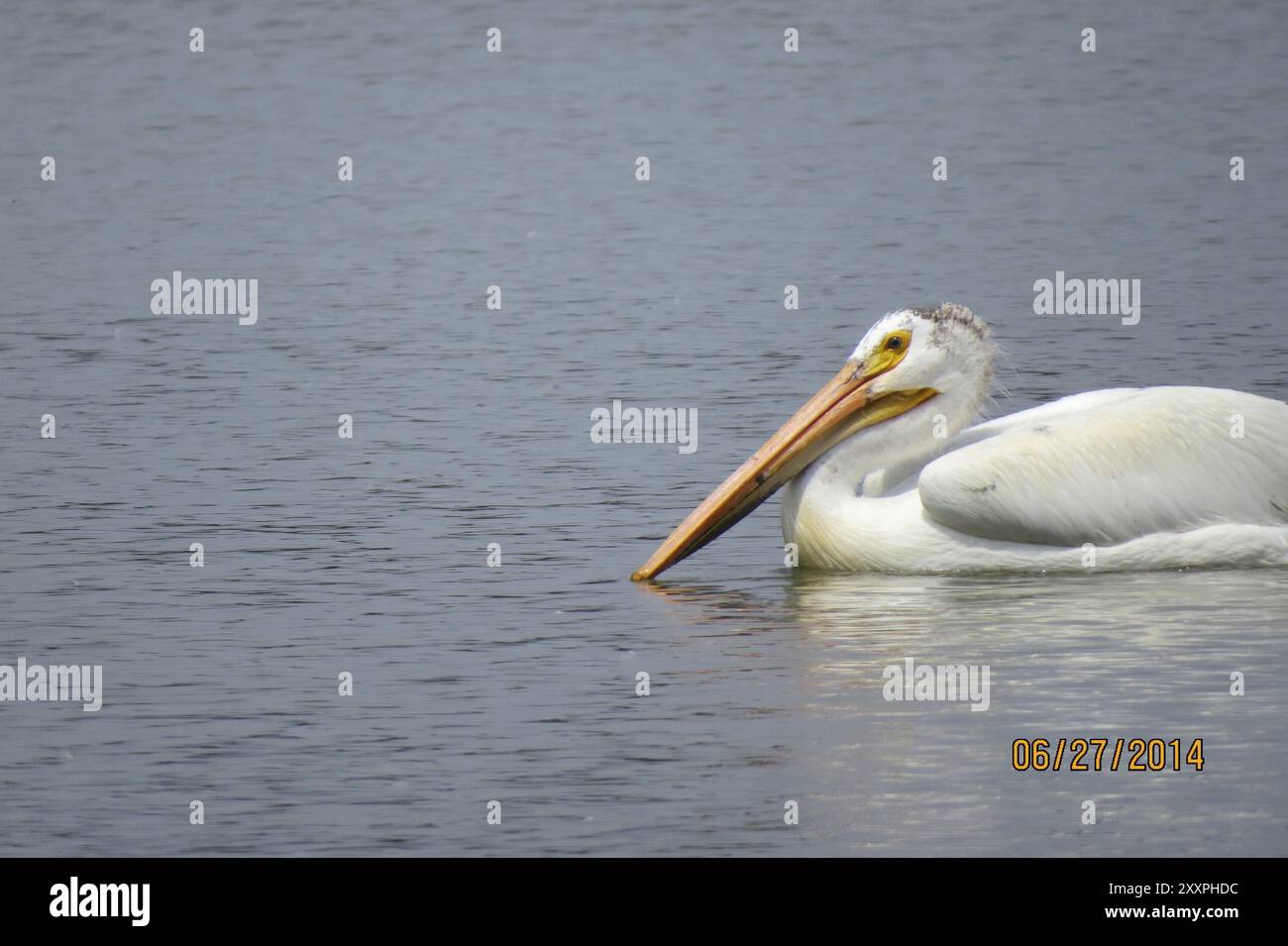 Nature scene from wisconsin Stock Photo - Alamy