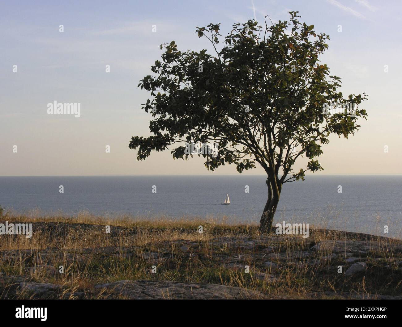 A dream island in Sweden, a beautiful island in Sweden Stock Photo - Alamy