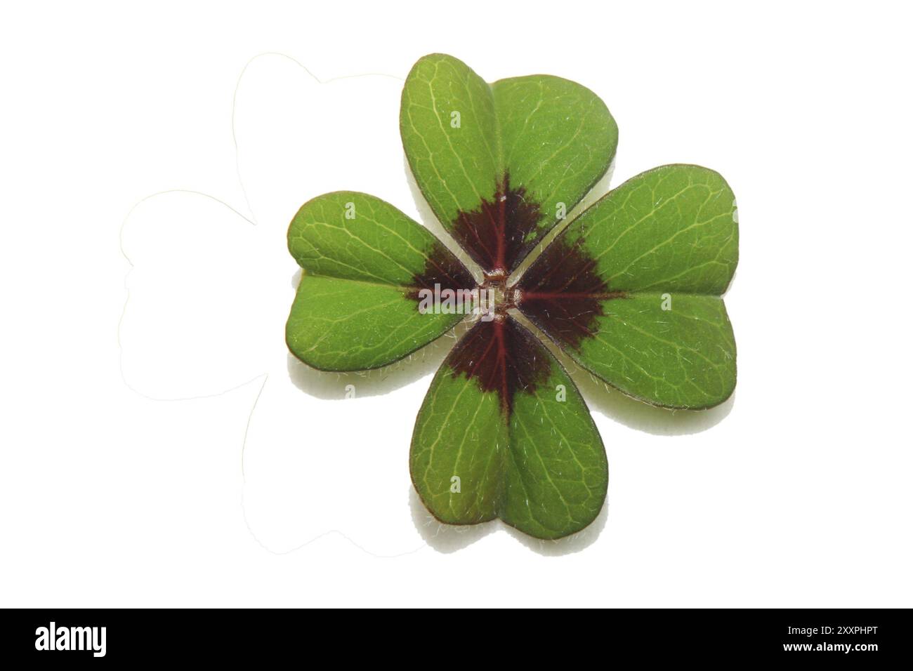 Good luck symbol hi-res stock photography and images - Alamy