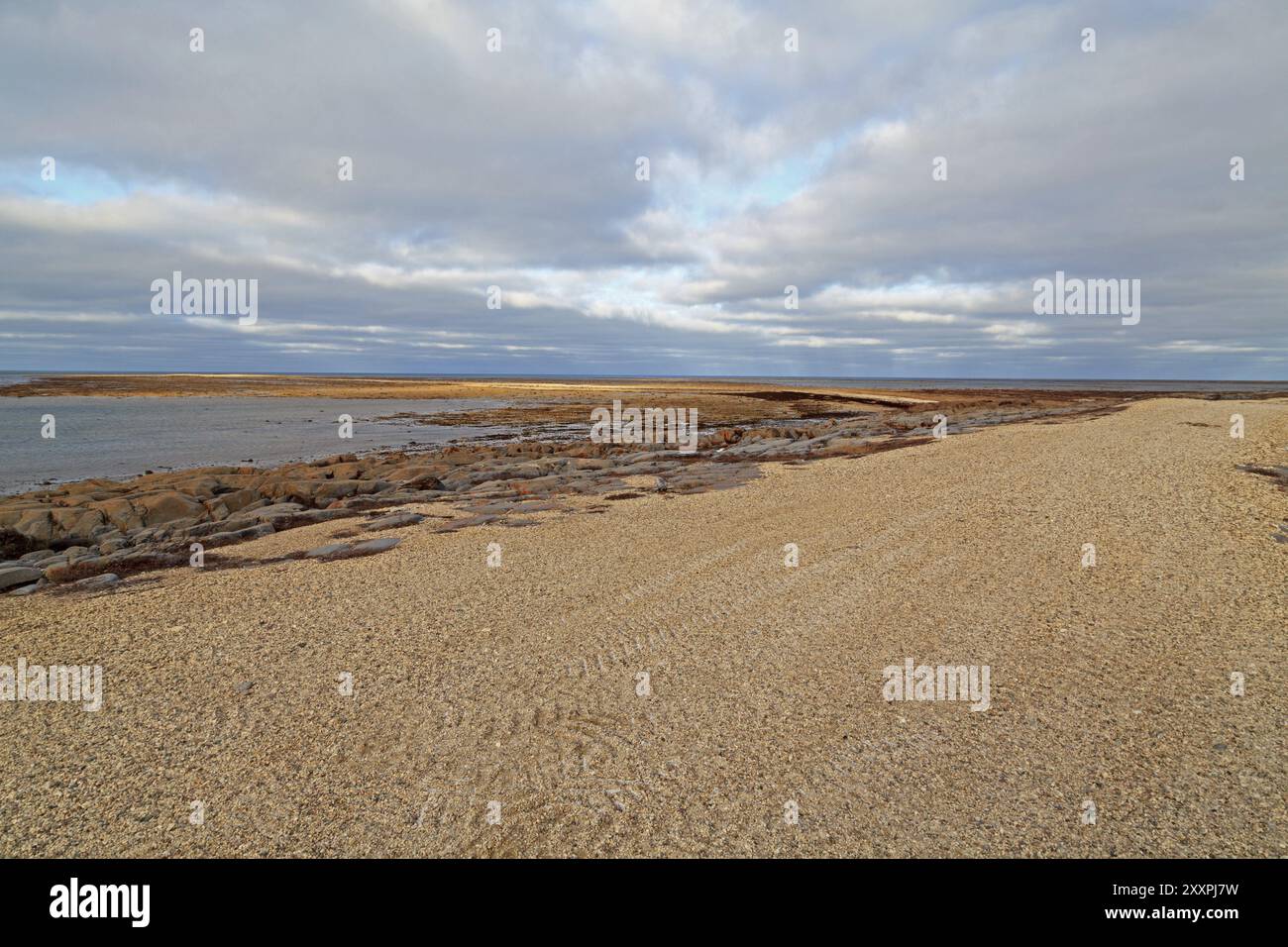 The coast of Hudson Bay near Churchill in Canada Stock Photo - Alamy