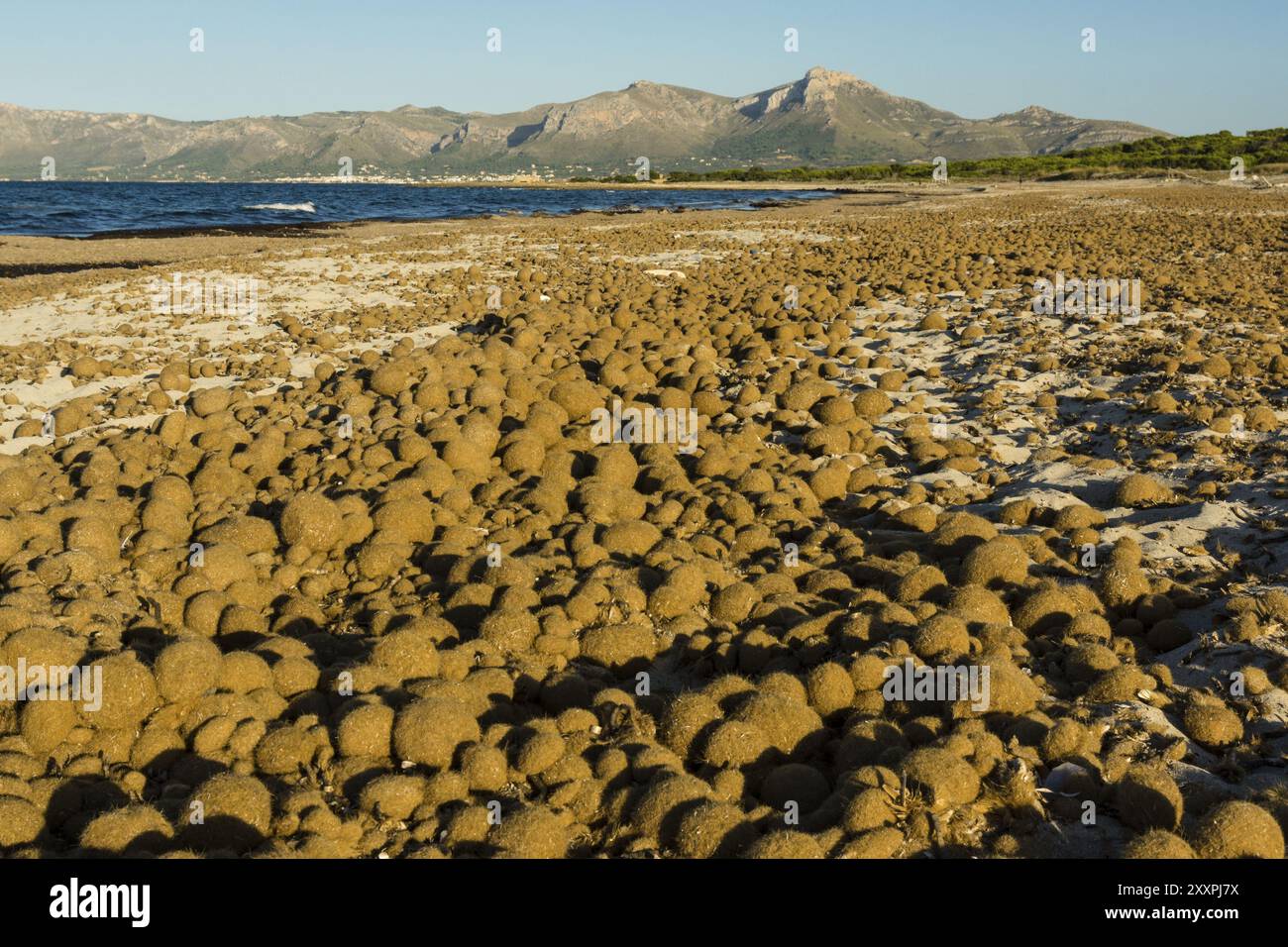 Bolas de playa hi-res stock photography and images - Alamy