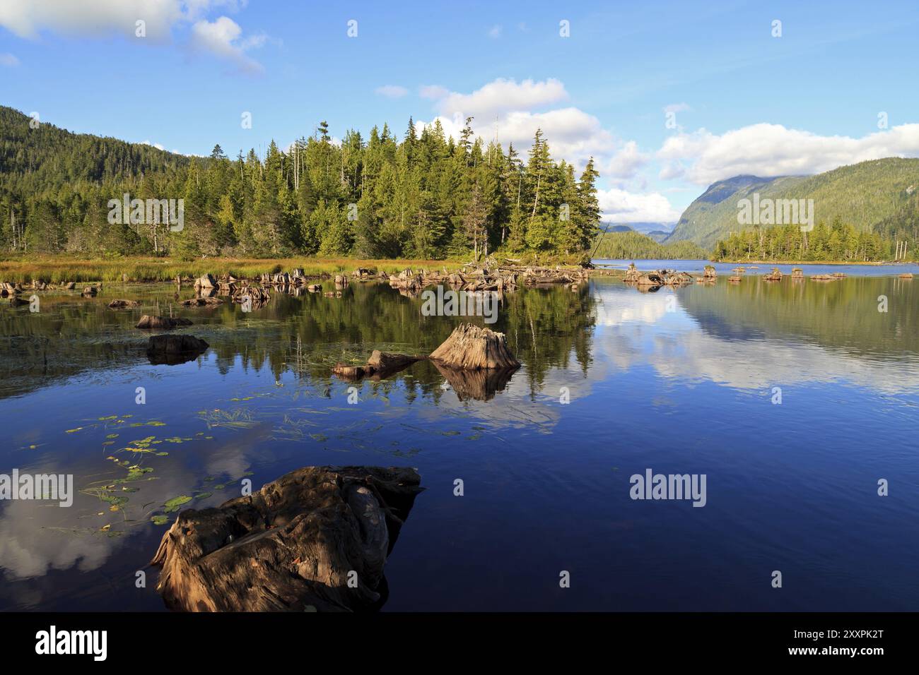 Canadian river landscape Stock Photo - Alamy