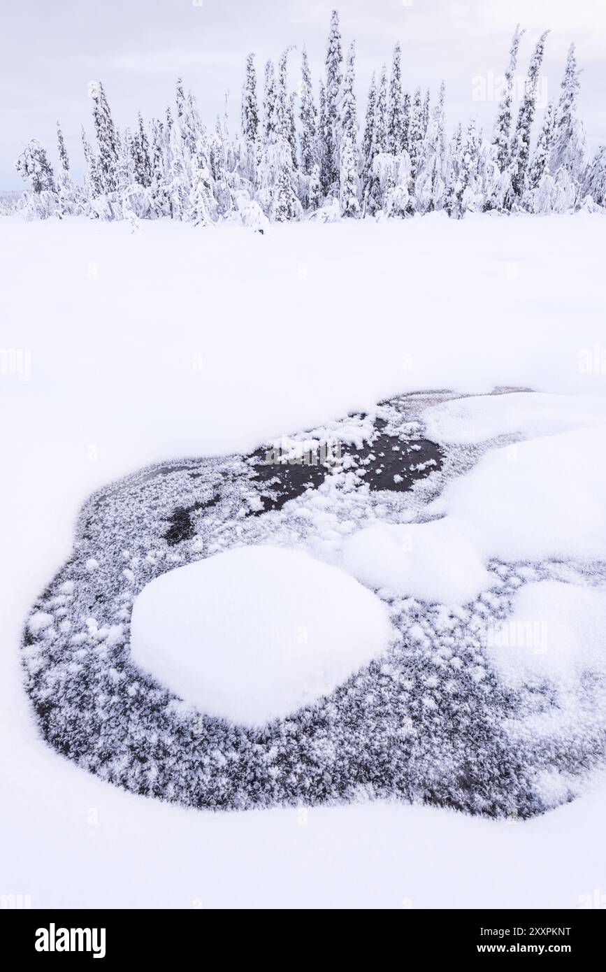 Winter marsh landscape, Muddus National Park, Laponia World Heritage ...