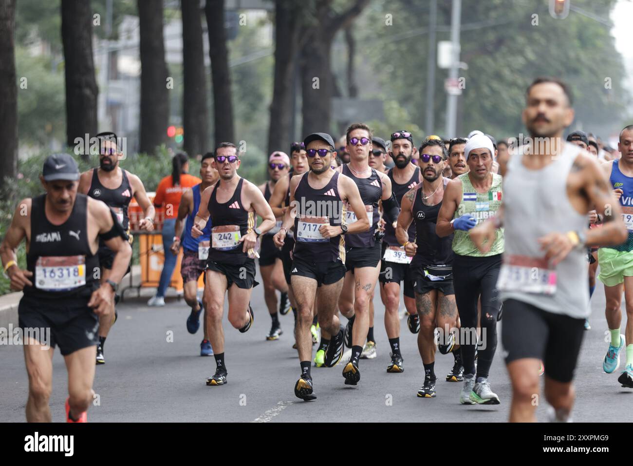 Mexico City, Mexico. 25th Aug, 2024. Runners participate in the 41st ...