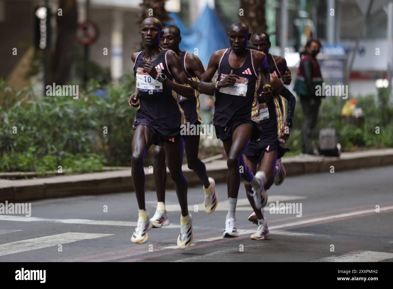 Marathon mexico 2024 hi-res stock photography and images - Alamy