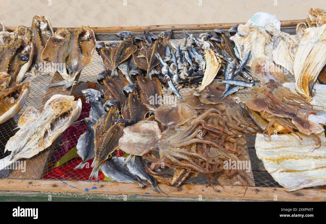 A net with dried fish of different species on a wooden frame on the ...