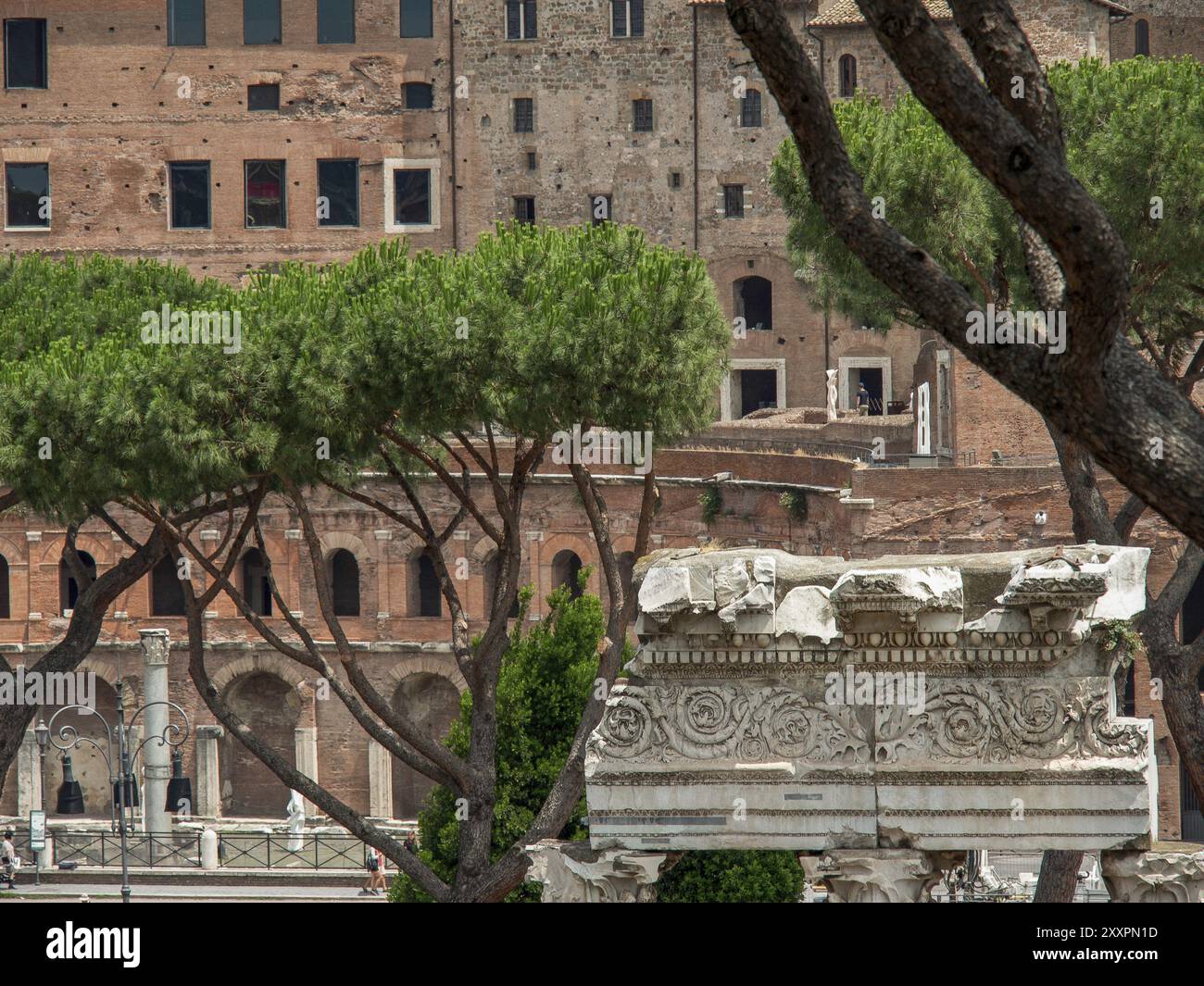 Trees and columns stand in front of ancient ruins and buildings of ...
