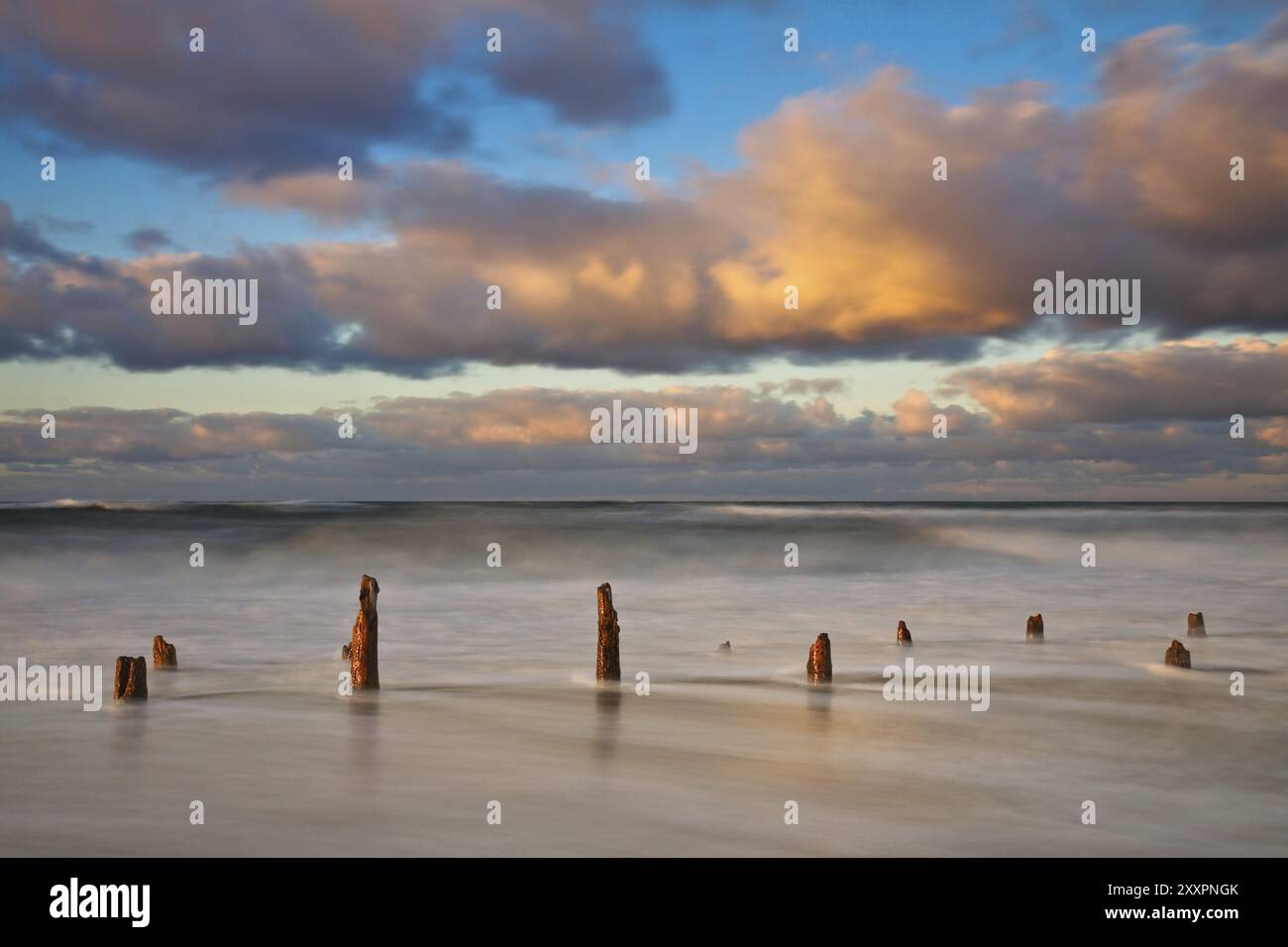 Remains of groynes on the Baltic coast Stock Photo - Alamy