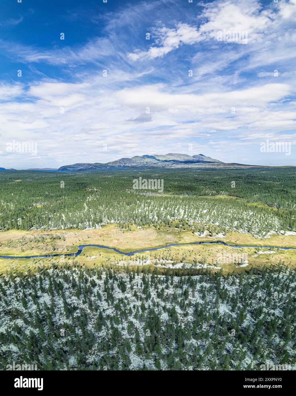 Aerial view winding river through a forest and the Sølen mountain under ...