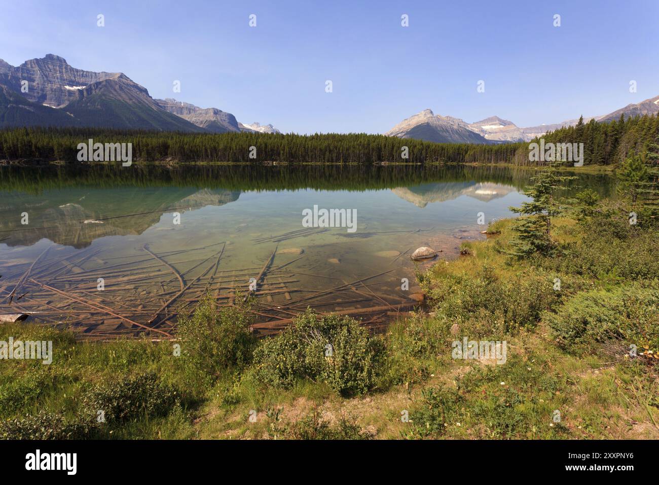 Herbert Lake in Banff National Park in Alberta Canada Stock Photo - Alamy