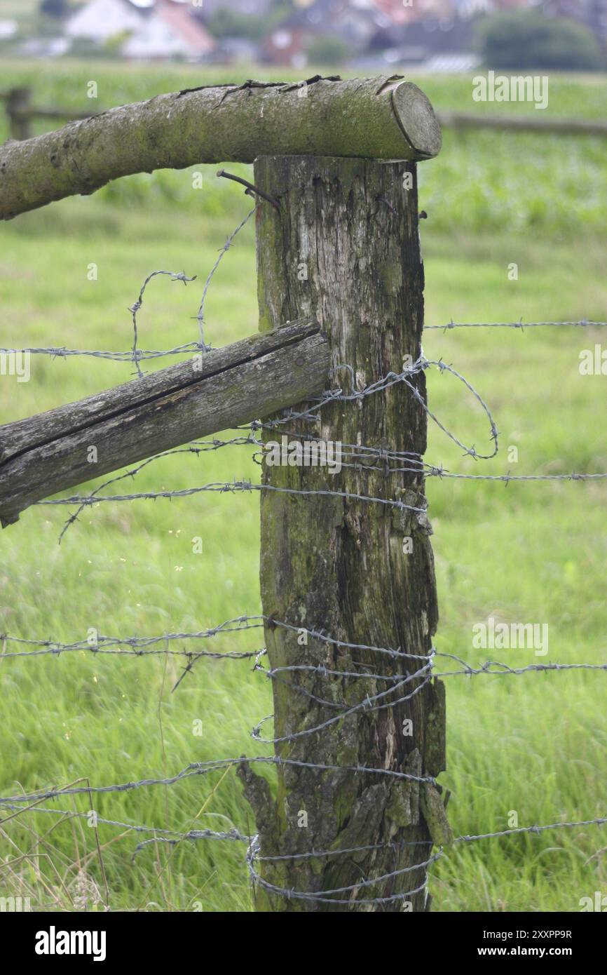 Messy barbed wire hi-res stock photography and images - Alamy